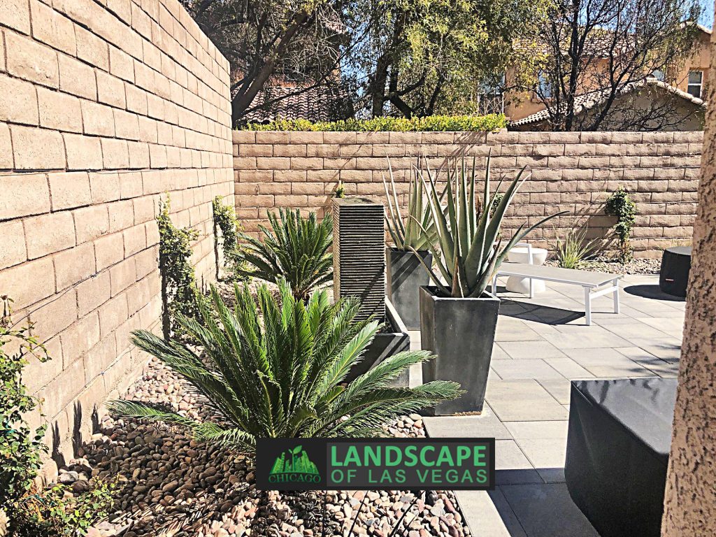 Las Vegas Landscape Redesign Project - Before & After Photos