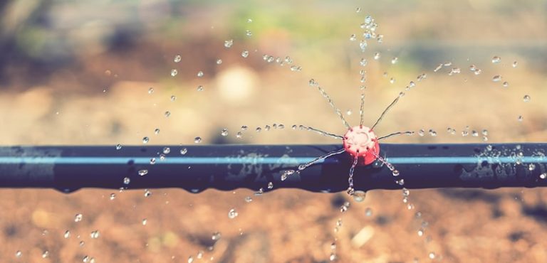 Drip Sprinkler Systems Ideal for Las Vegas Desert Landscapes